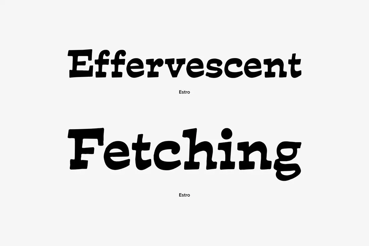 Estro Font - YouWorkForThem