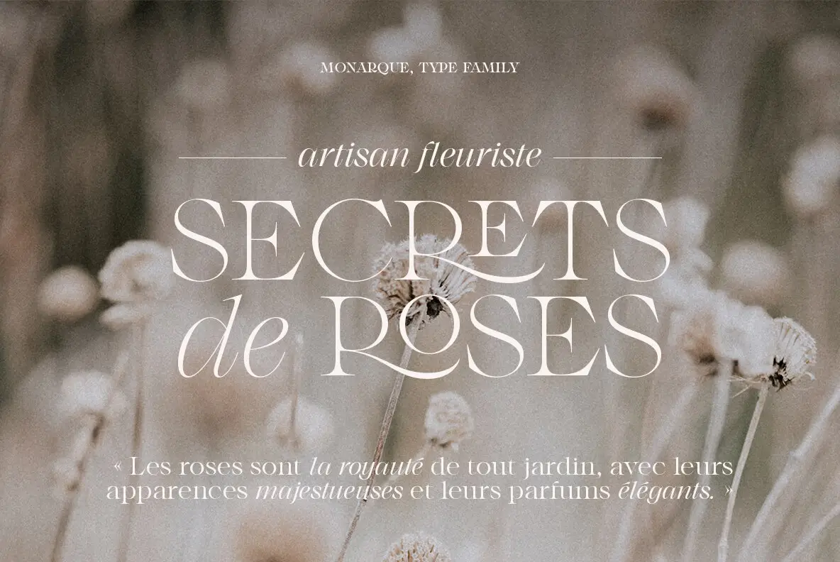 Monarque Font - YouWorkForThem