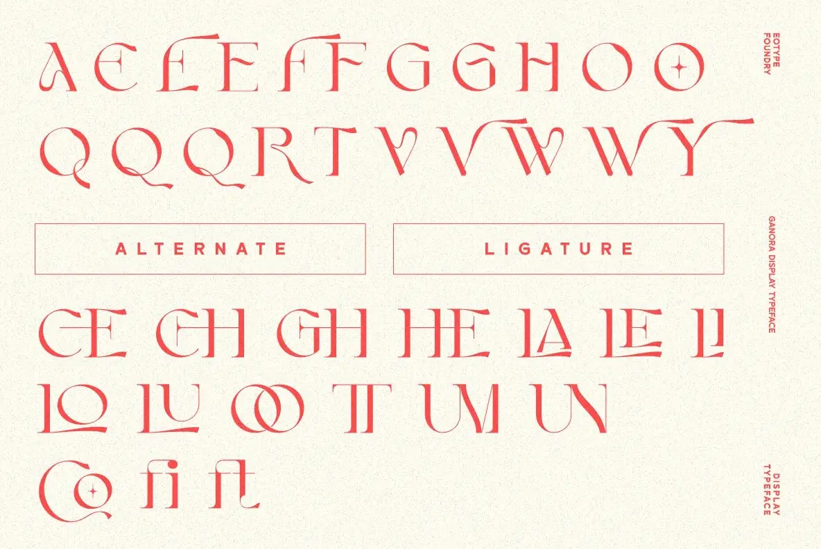 Ganora Font - YouWorkForThem
