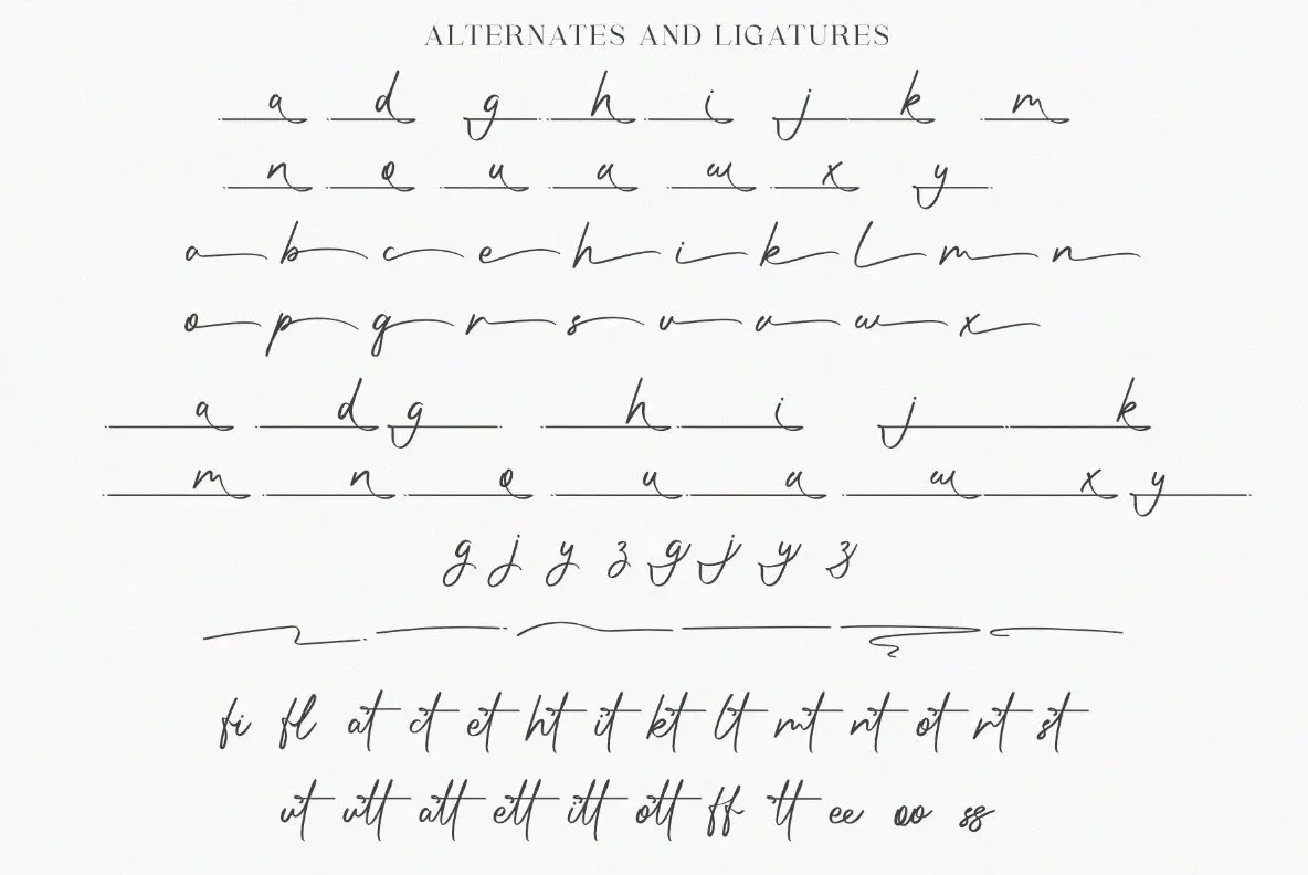 Geraldyne Signature Font - YouWorkForThem