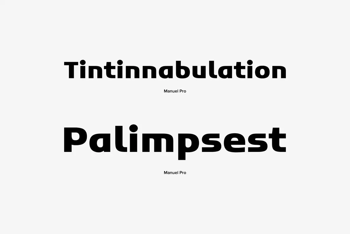 Manuel Pro Font - YouWorkForThem