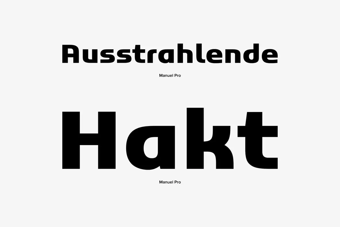 Manuel Pro Font - YouWorkForThem