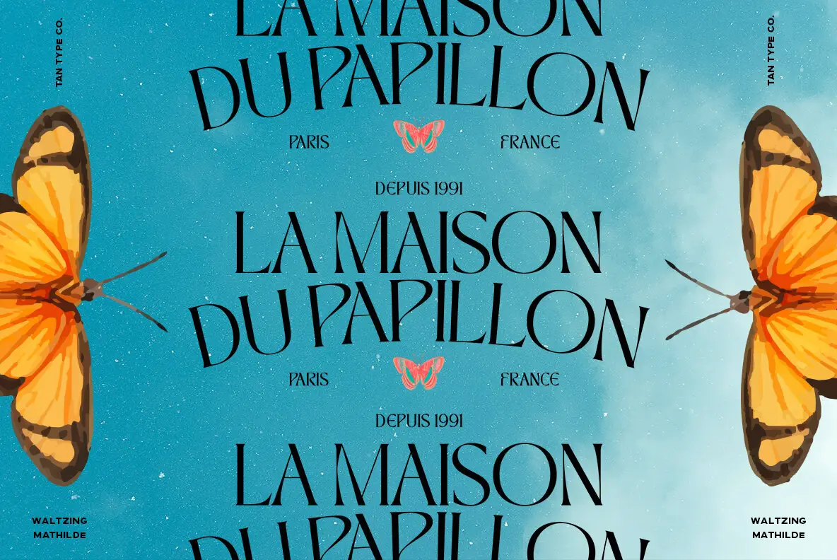 TAN Waltzing Mathilde Font - YouWorkForThem