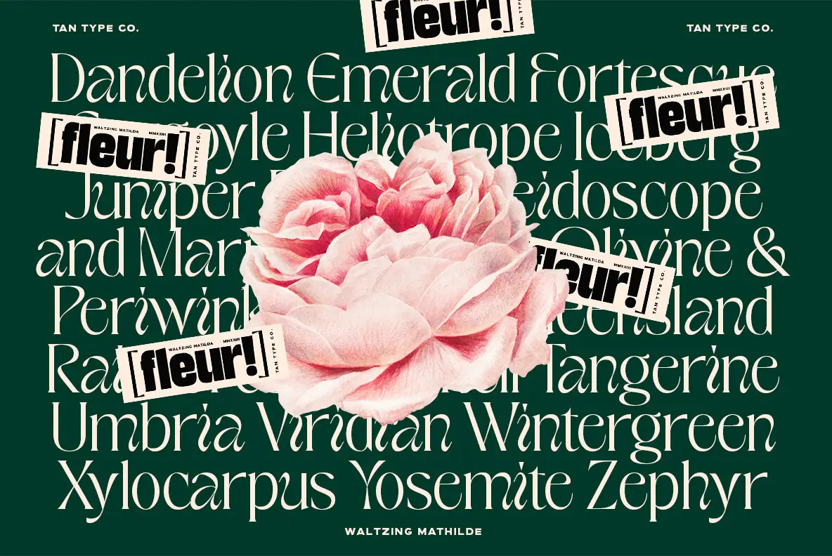 TAN Waltzing Mathilde Font - YouWorkForThem