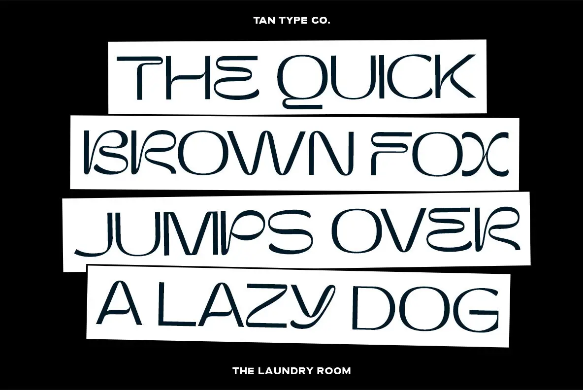 TAN THE LAUNDRY ROOM Font - FontPath