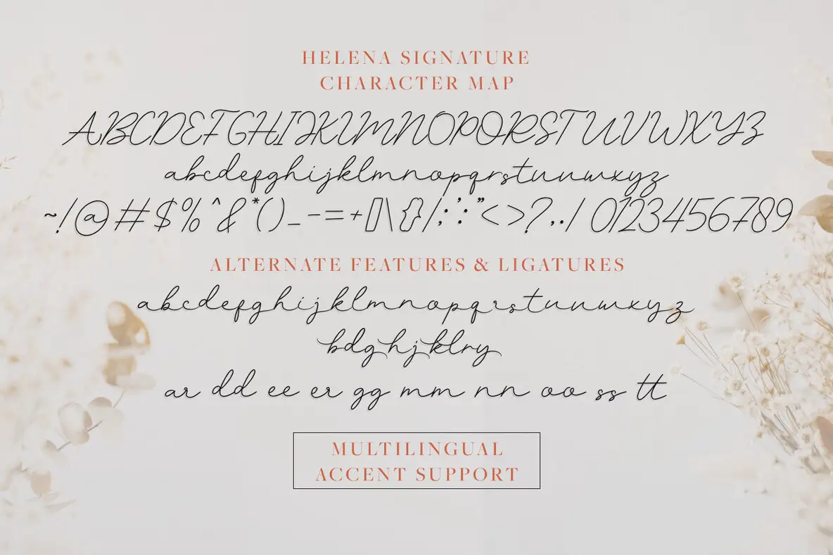 Helena Signature Font - YouWorkForThem
