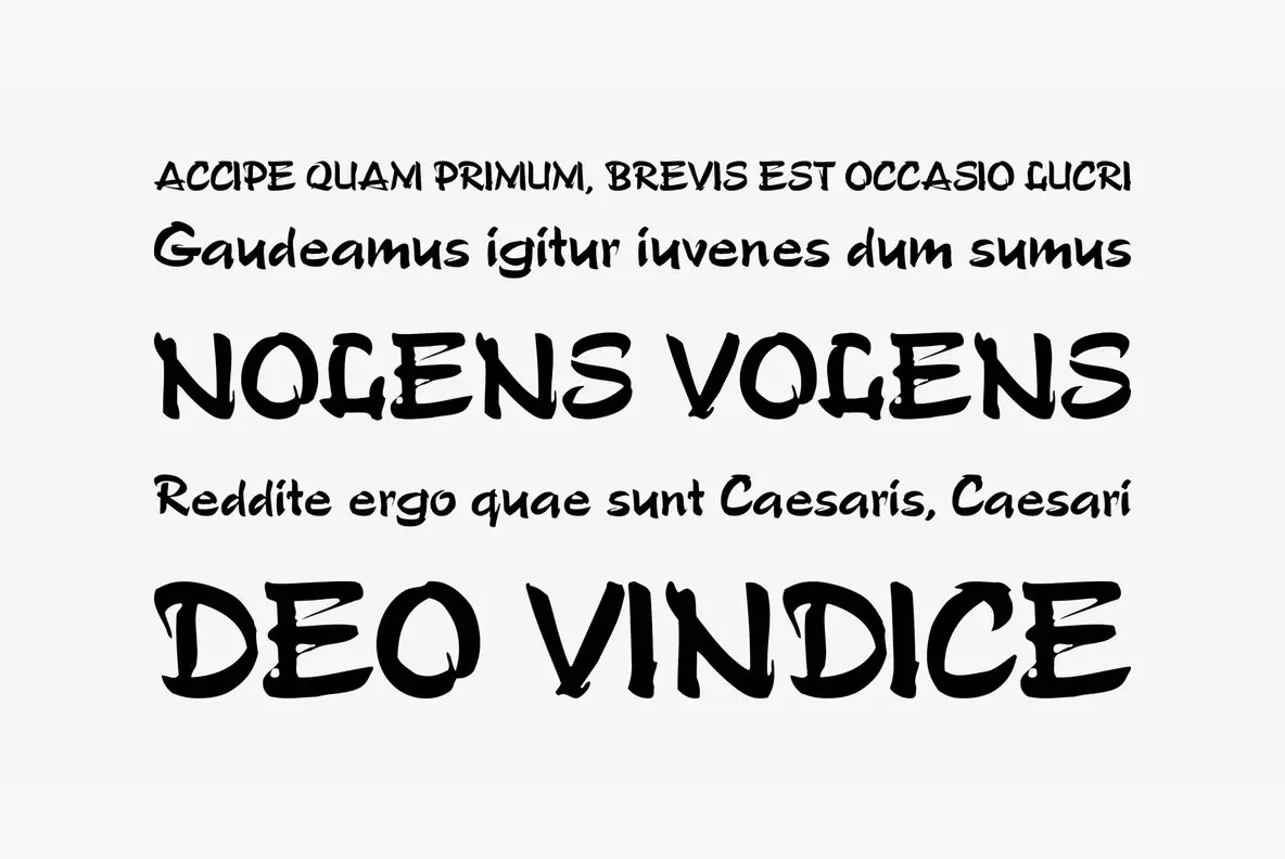 Polo Font - YouWorkForThem