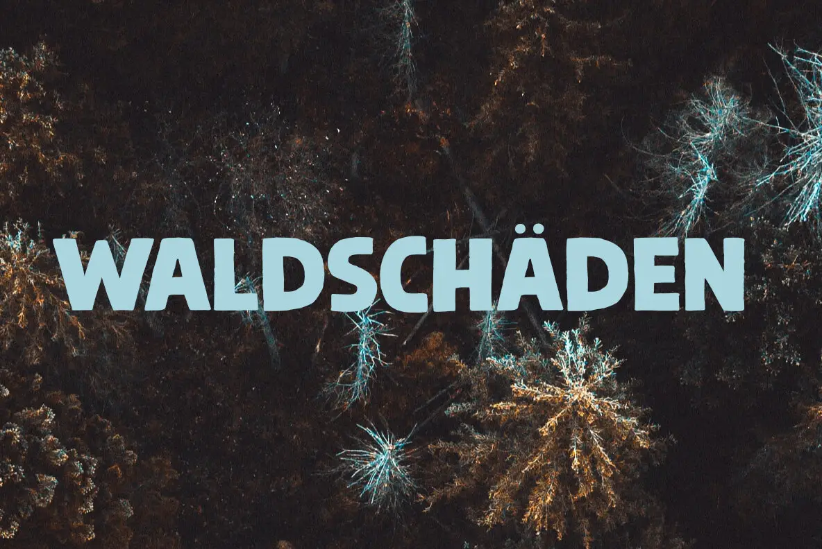 Steinwald Font - FontPath