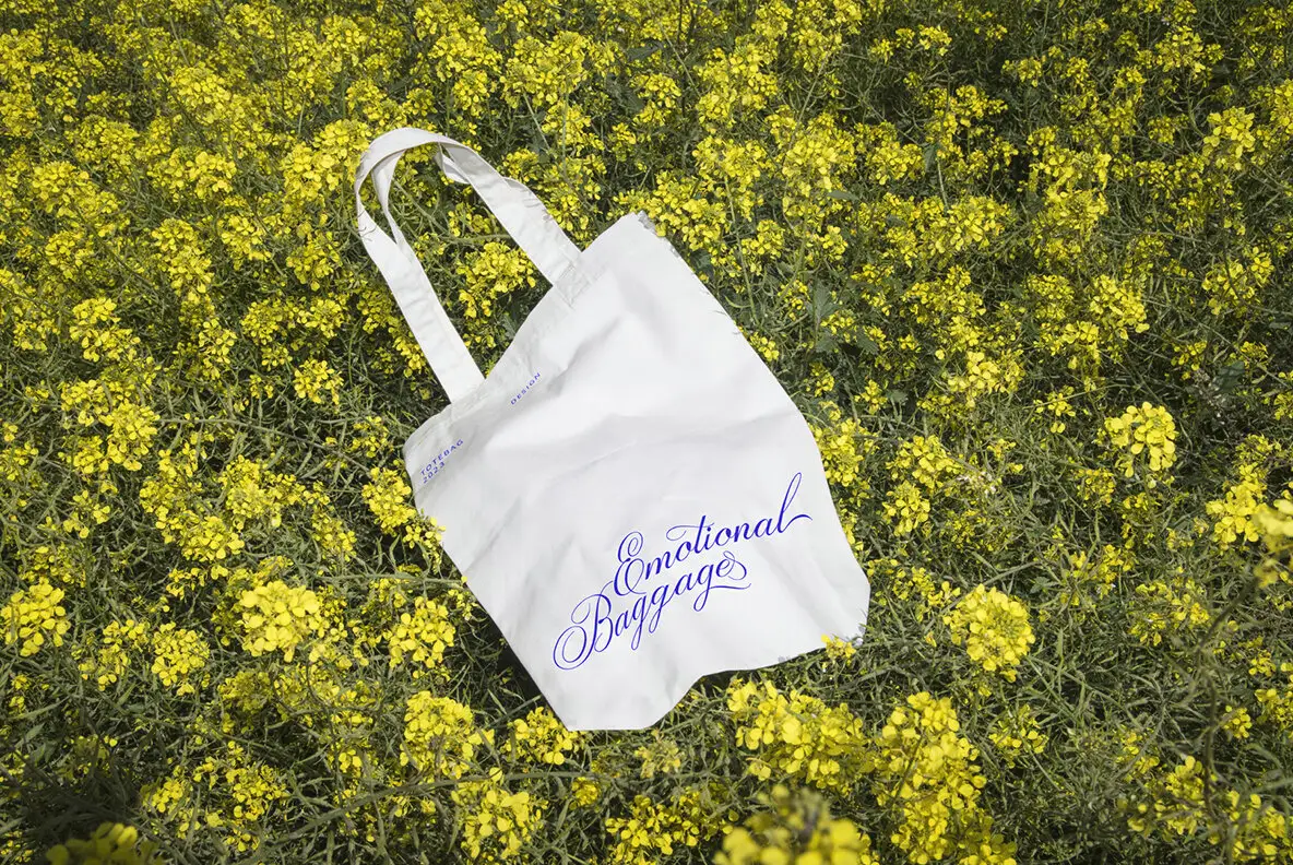 ED Drayton Font - FontPath