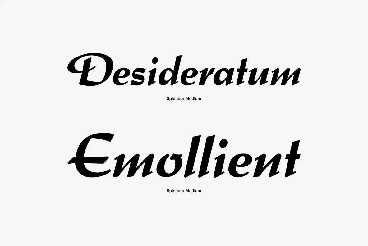 Splendor Font - YouWorkForThem