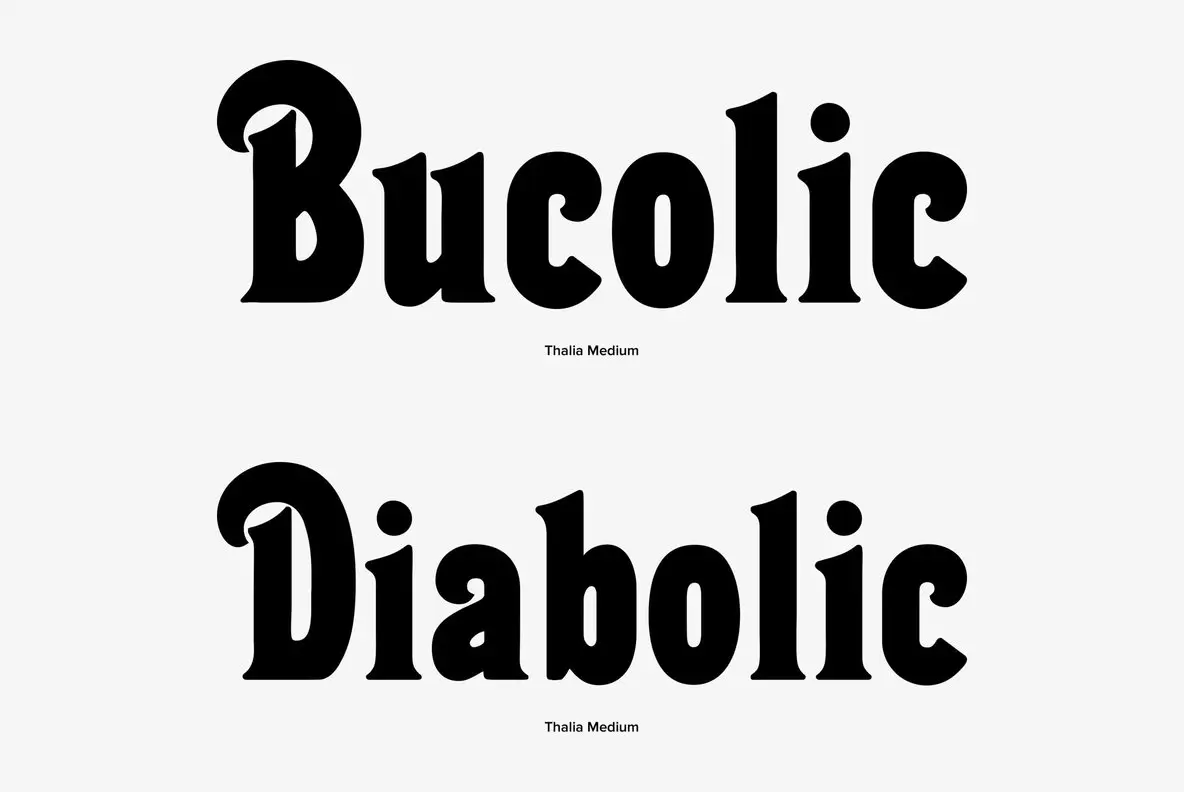 Thalia Font - YouWorkForThem