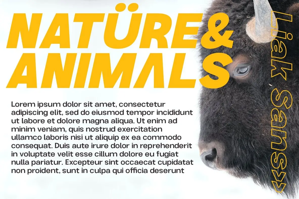 Liak Font - YouWorkForThem