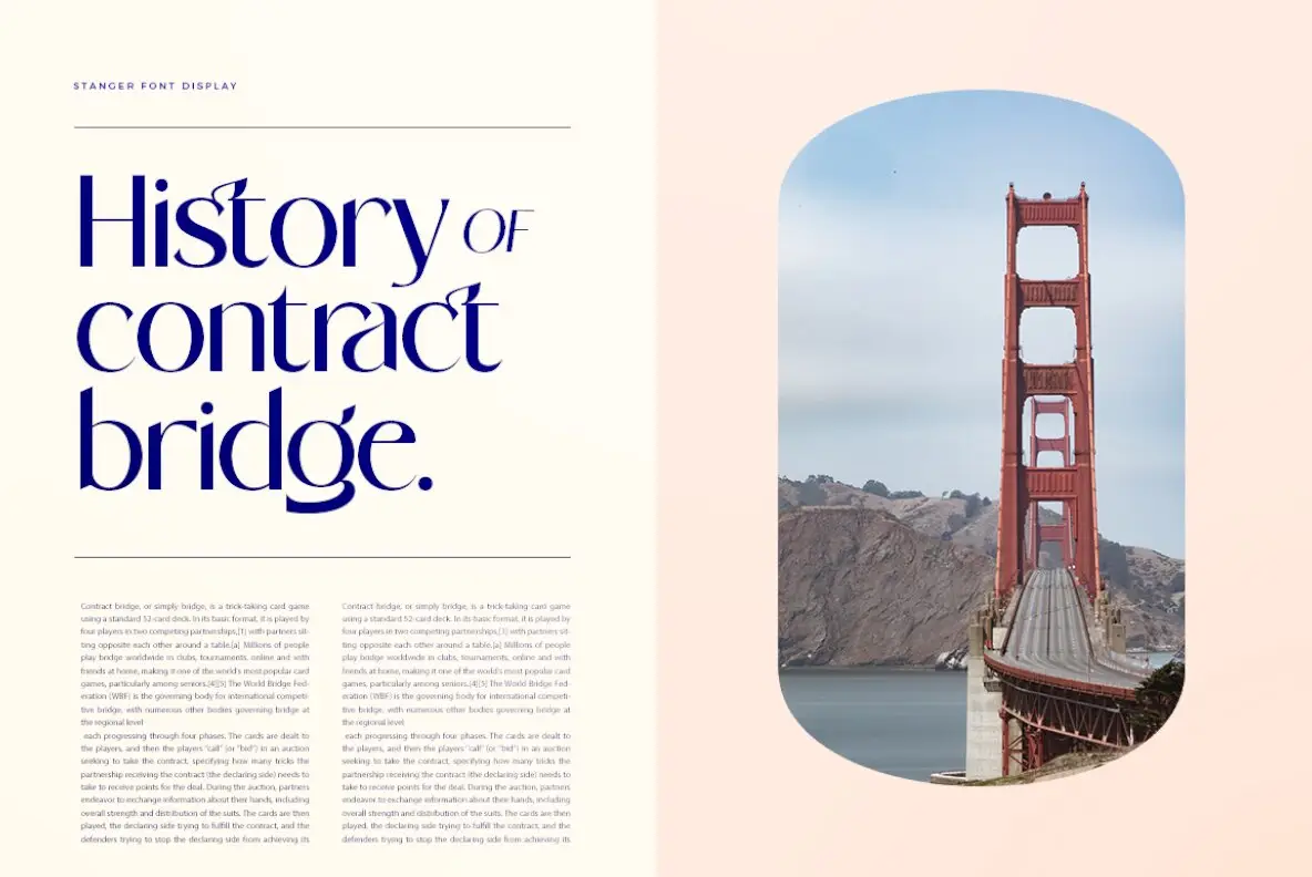 Stanger Font - YouWorkForThem