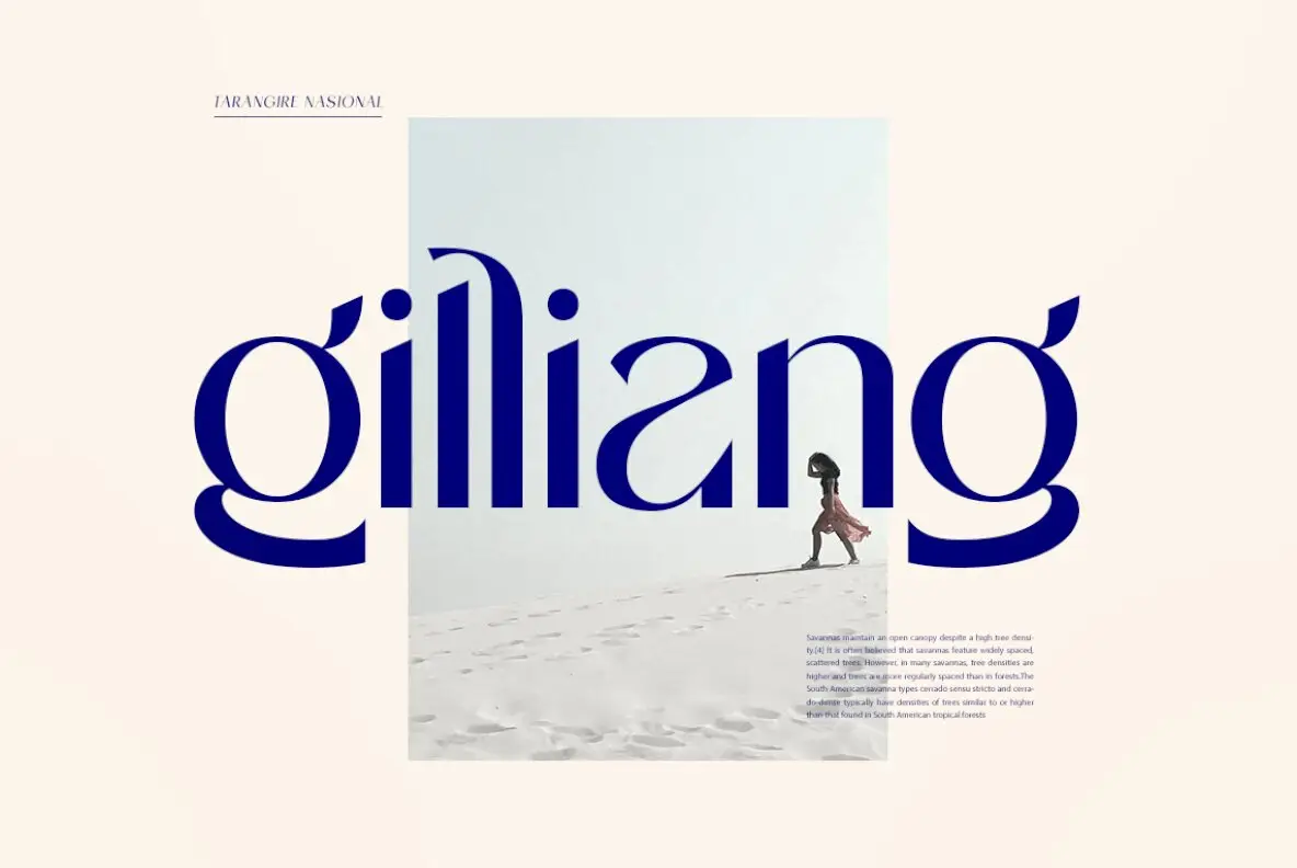 Stanger Font - YouWorkForThem