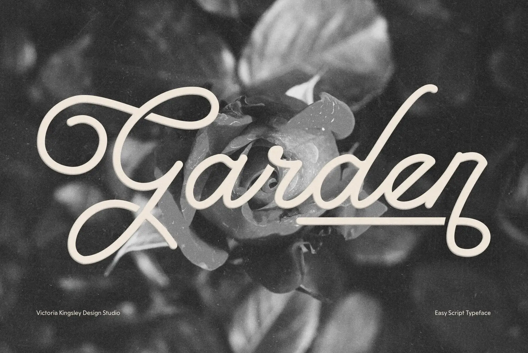 Easy Script Font - YouWorkForThem