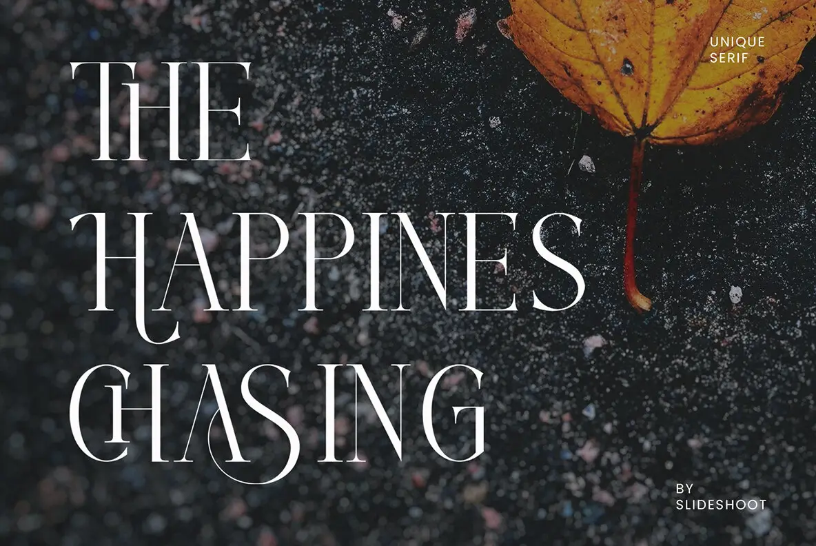 Saignh Font - YouWorkForThem