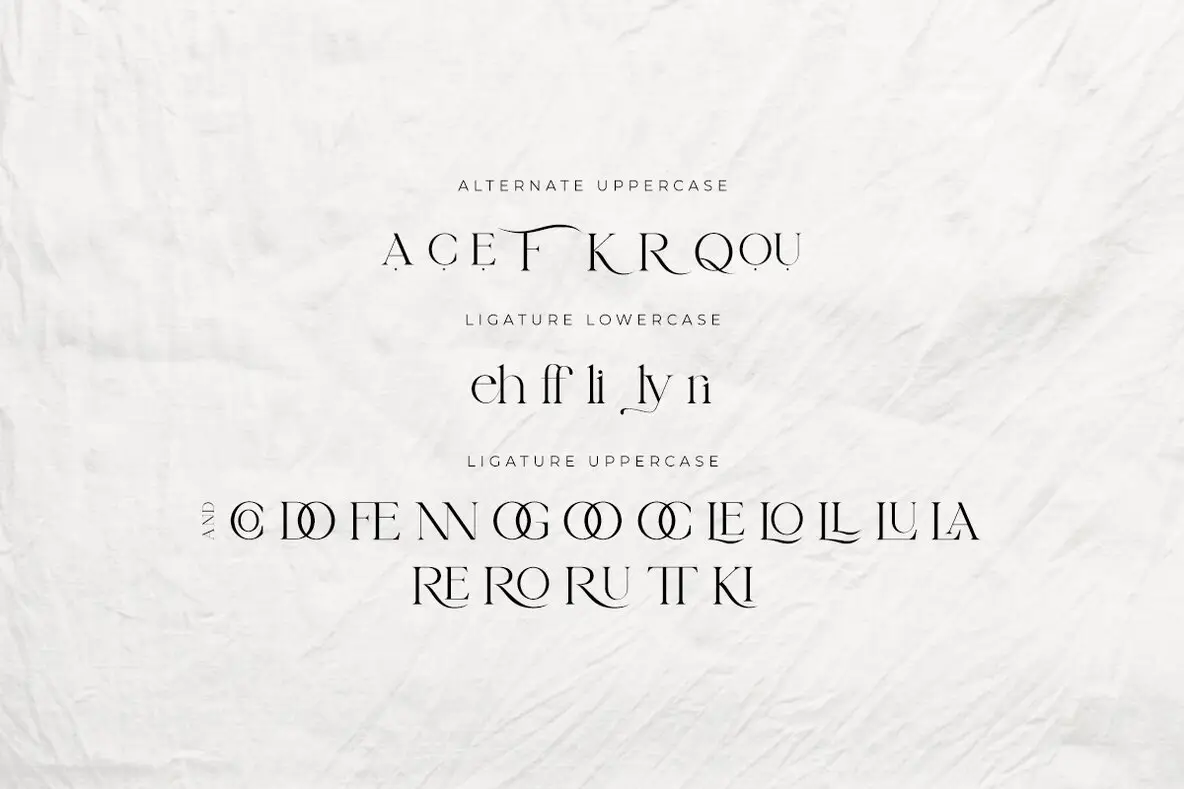 She Lost Her Mind Font - YouWorkForThem