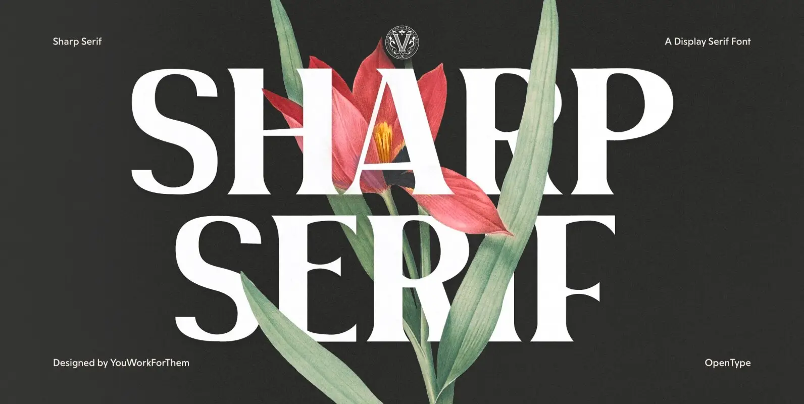 Download Fonts, Stock Photos, Graphics & Templates - YouWorkForThem