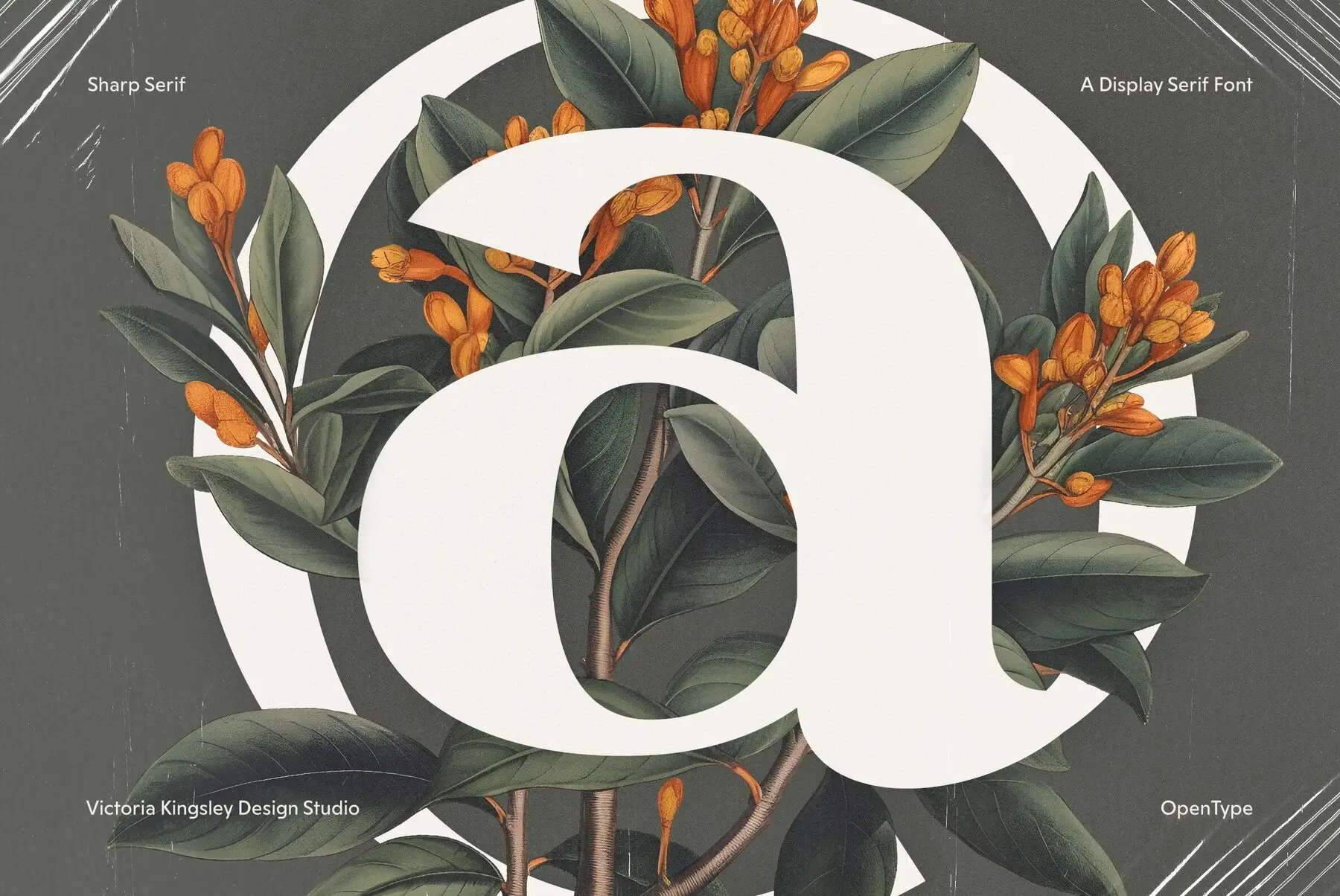 Sharp Serif Font - YouWorkForThem