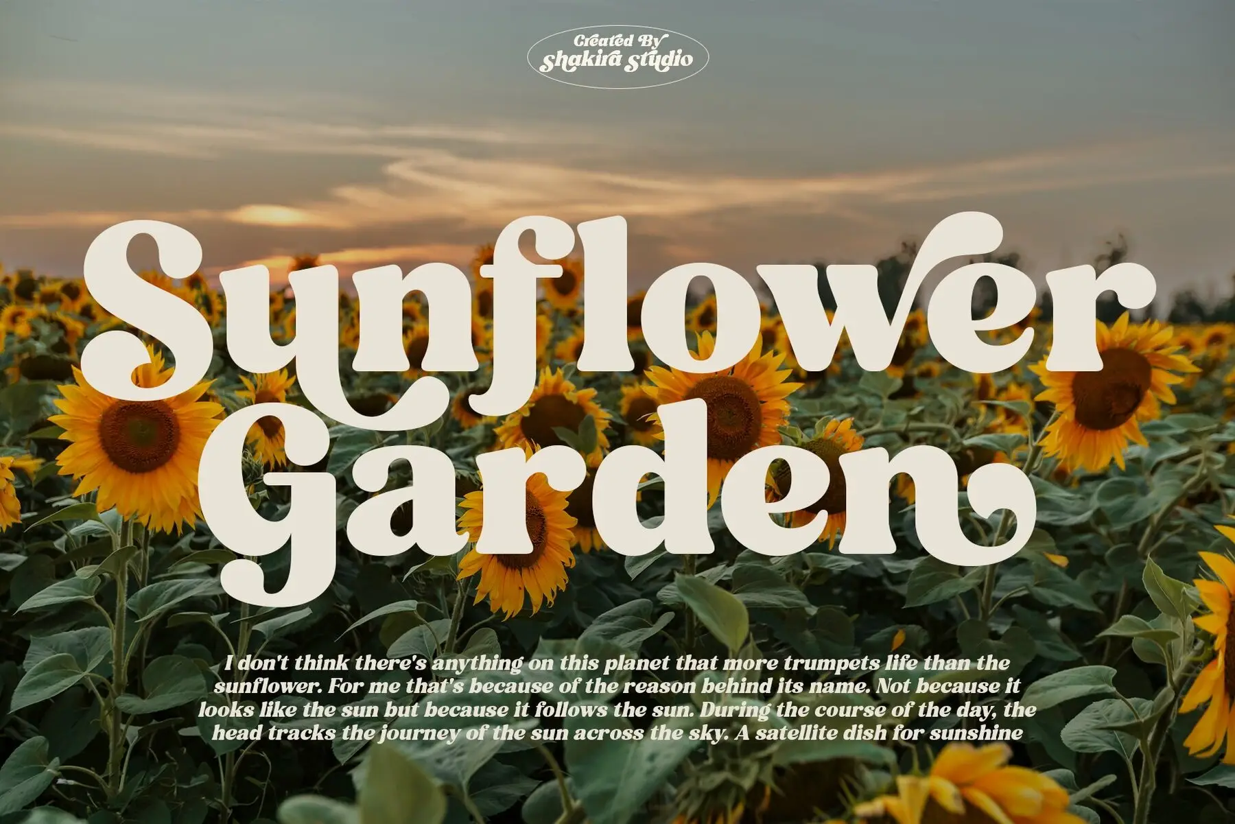 Fresh Mango Font - YouWorkForThem