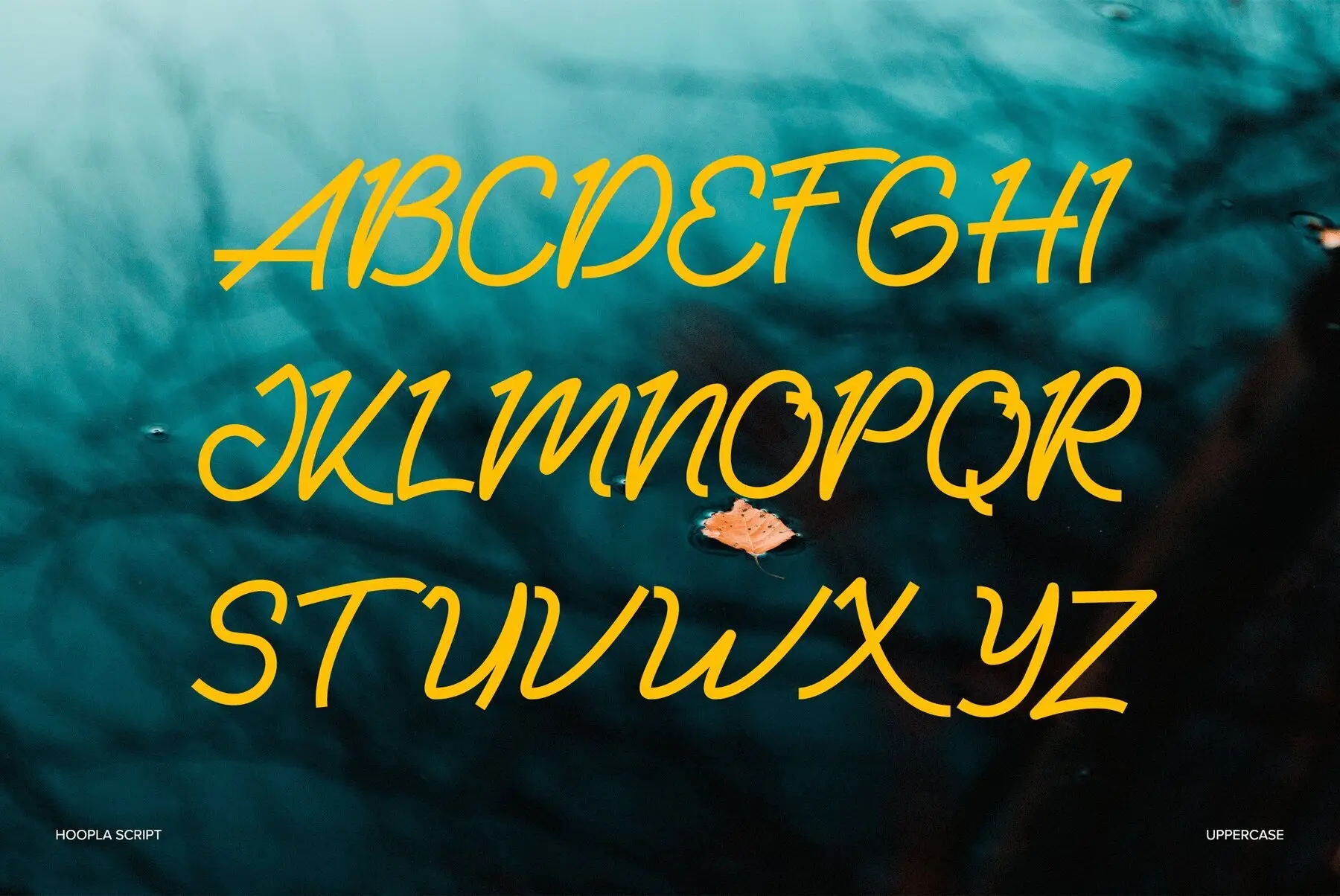 Hoopla Script Font - FontPath
