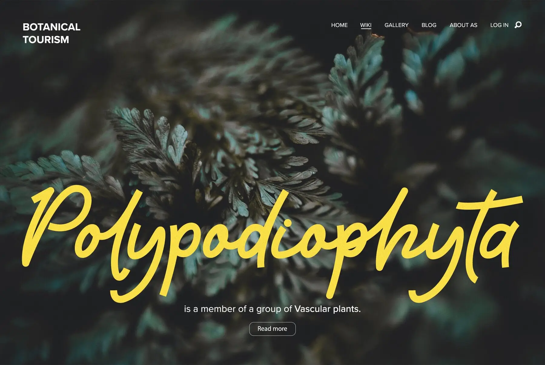 Hoopla Script Font - YouWorkForThem