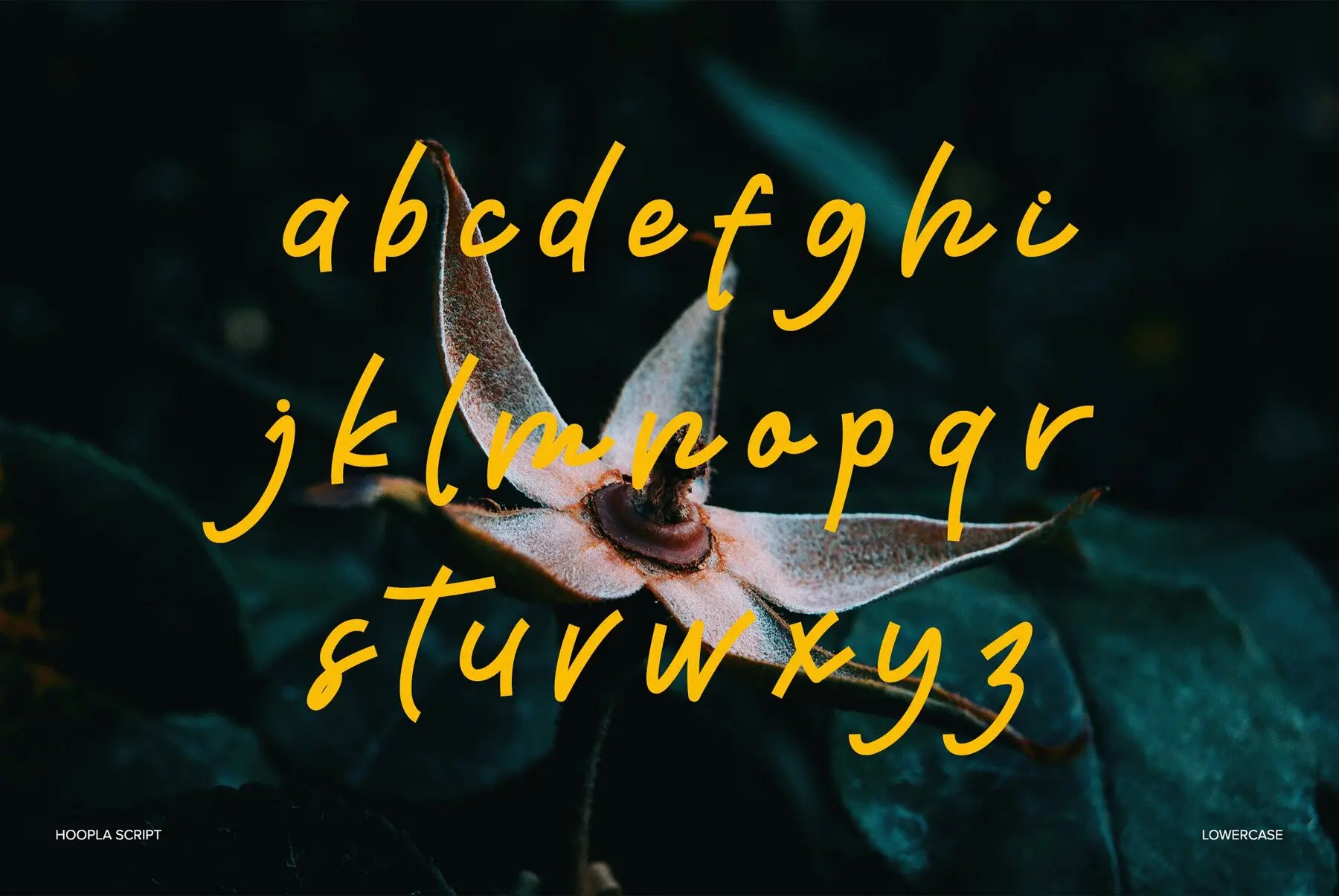 Hoopla Script Font - YouWorkForThem