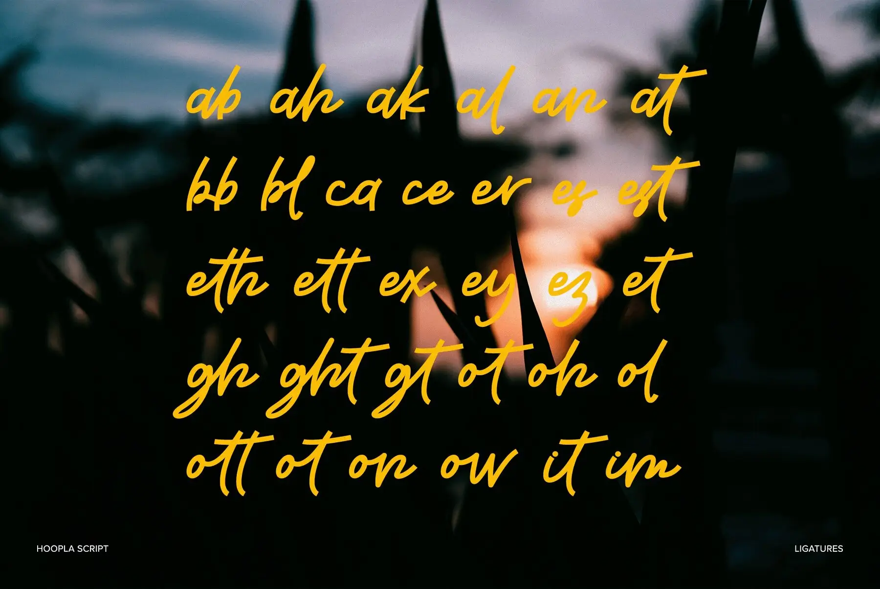 Hoopla Script Font - YouWorkForThem