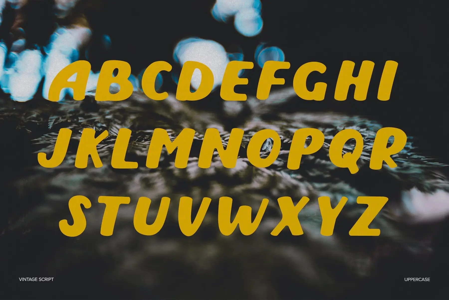 Vintage Script Font - YouWorkForThem