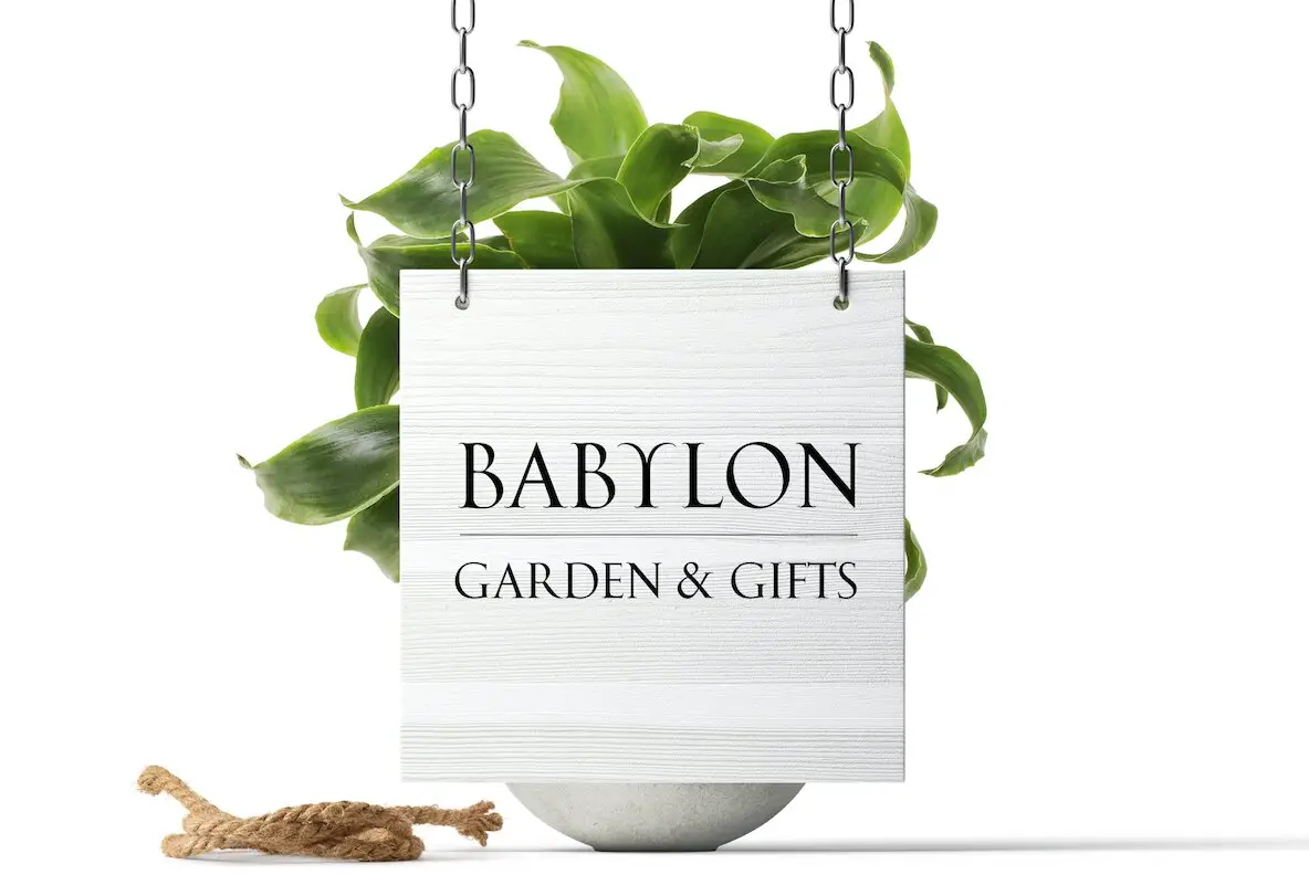 Cresci Exemplar™ Pro Font - YouWorkForThem