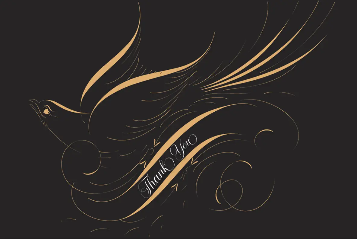 Amour Script Font - YouWorkForThem