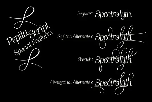 Pepita Script Font - YouWorkForThem