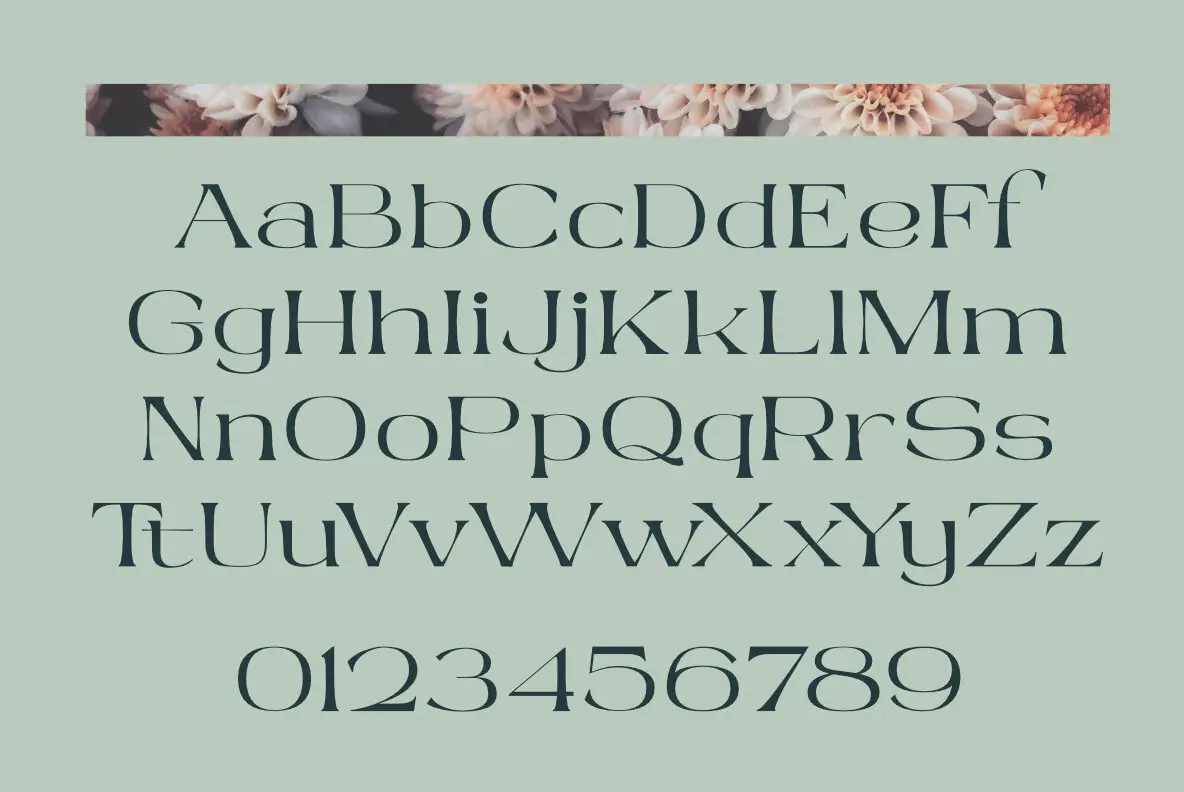 Sosa Font - YouWorkForThem