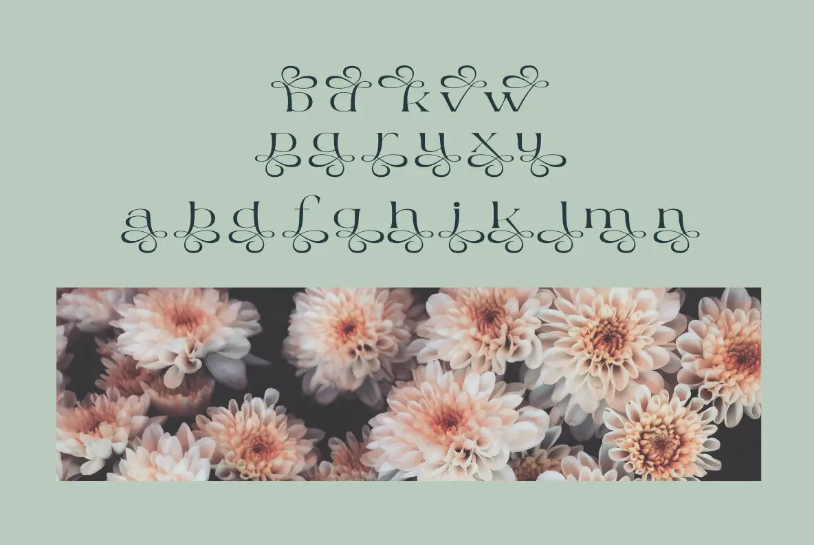 Sosa Font - YouWorkForThem