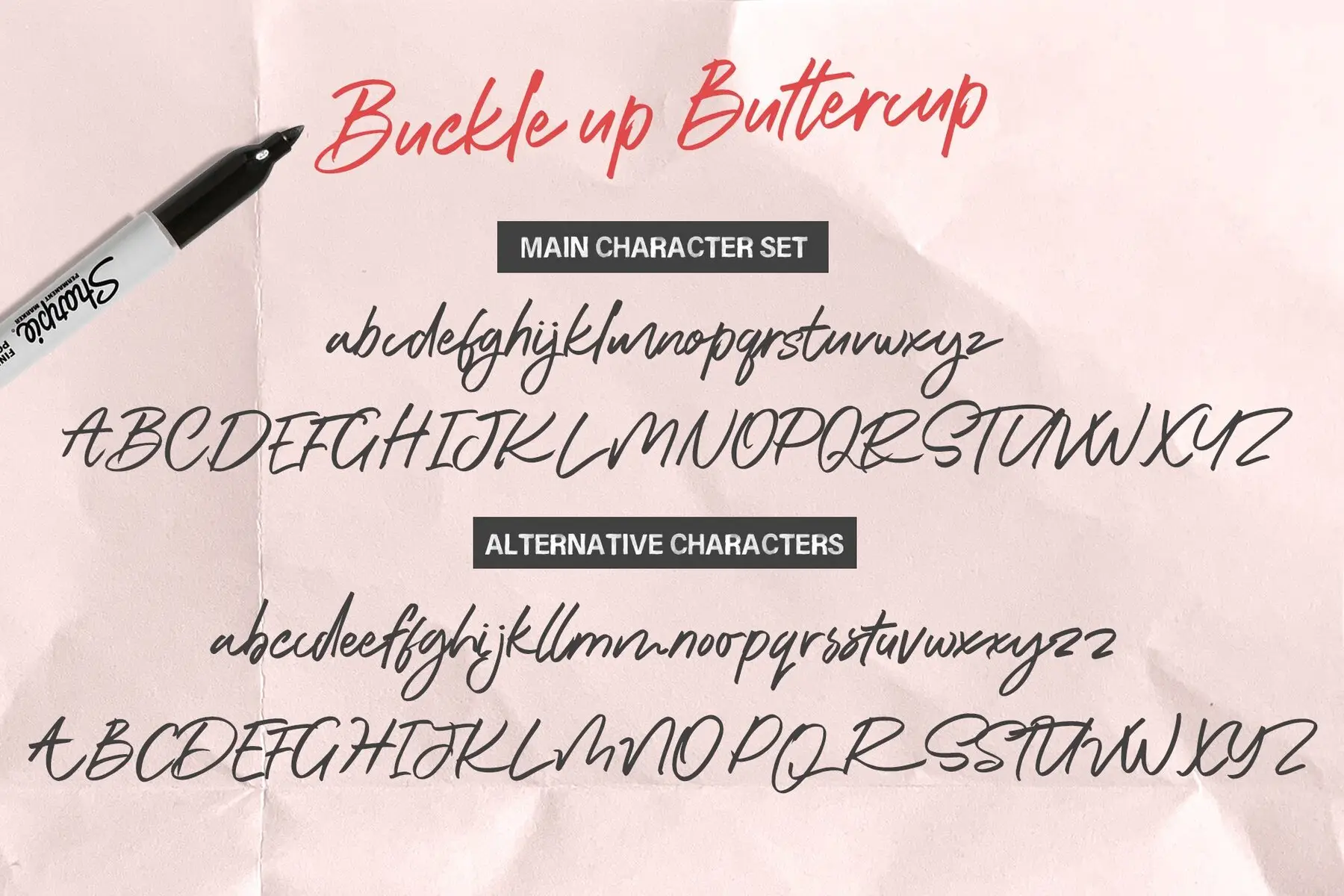 Buckle Up Buttercup Font - YouWorkForThem