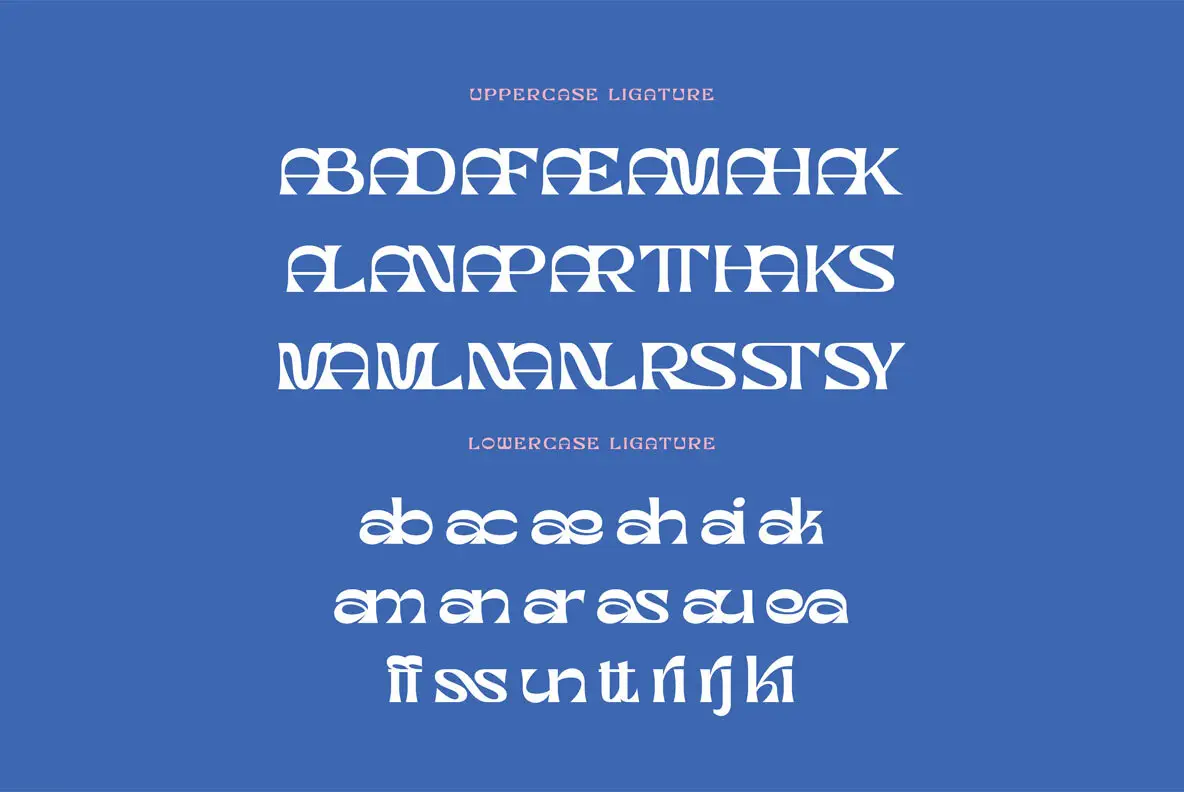 Bird King Font - YouWorkForThem