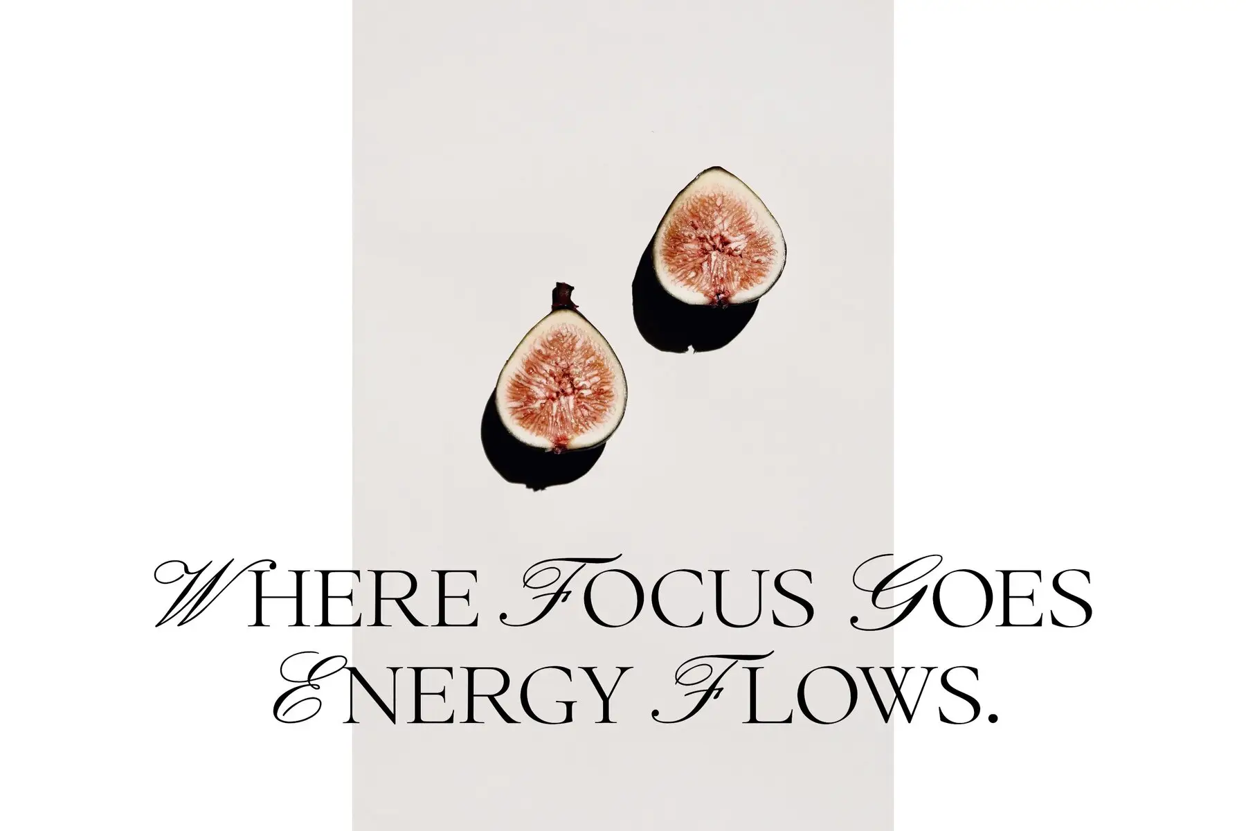 Loren Blake Font Duo - YouWorkForThem