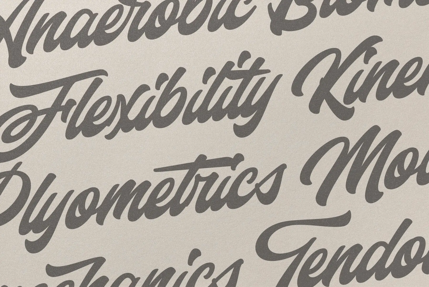 Grand Slam Font: Serving Up Elegance in Typography - FontPath