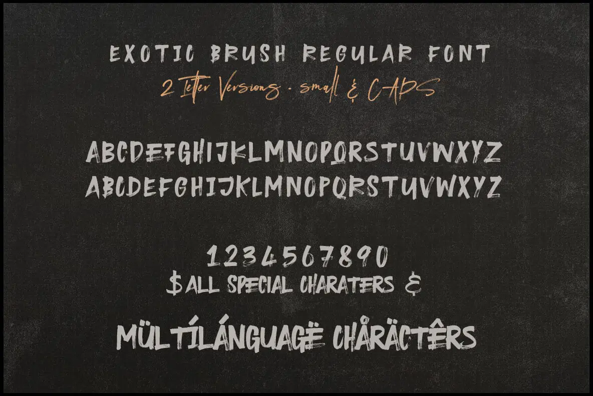 Exotic Brush SVG Font - FontPath