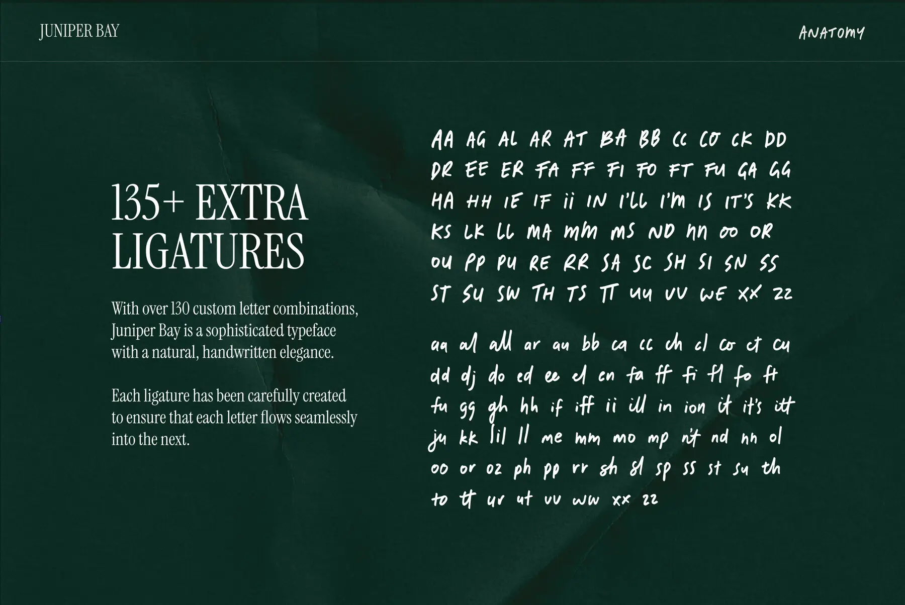 Juniper Bay Font - YouWorkForThem