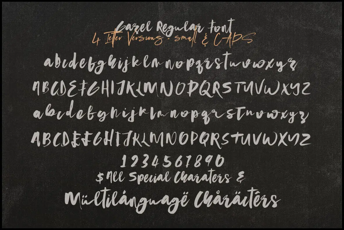 Gazel Font - YouWorkForThem