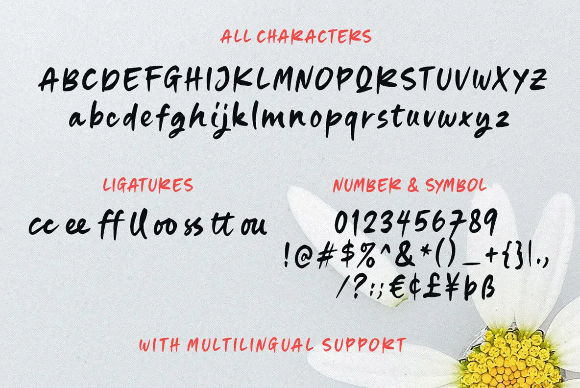 Wide House Font - YouWorkForThem