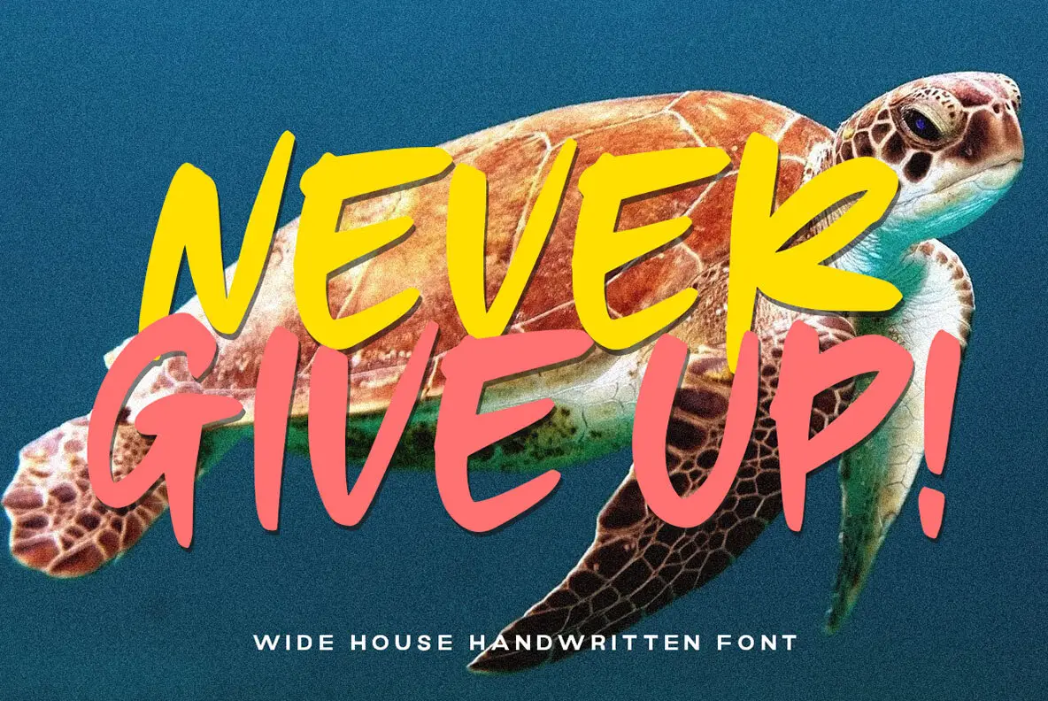 Wide House Font - YouWorkForThem