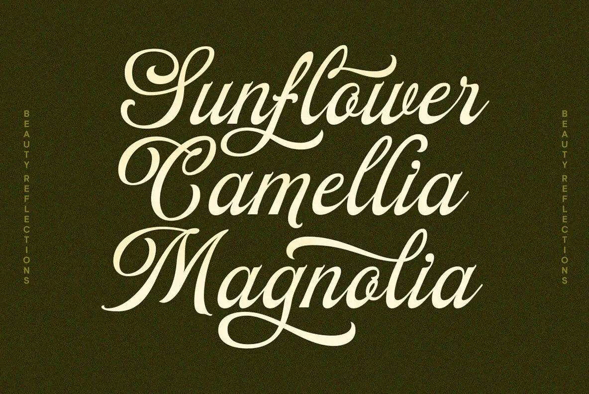Beauty Reflections Font - YouWorkForThem