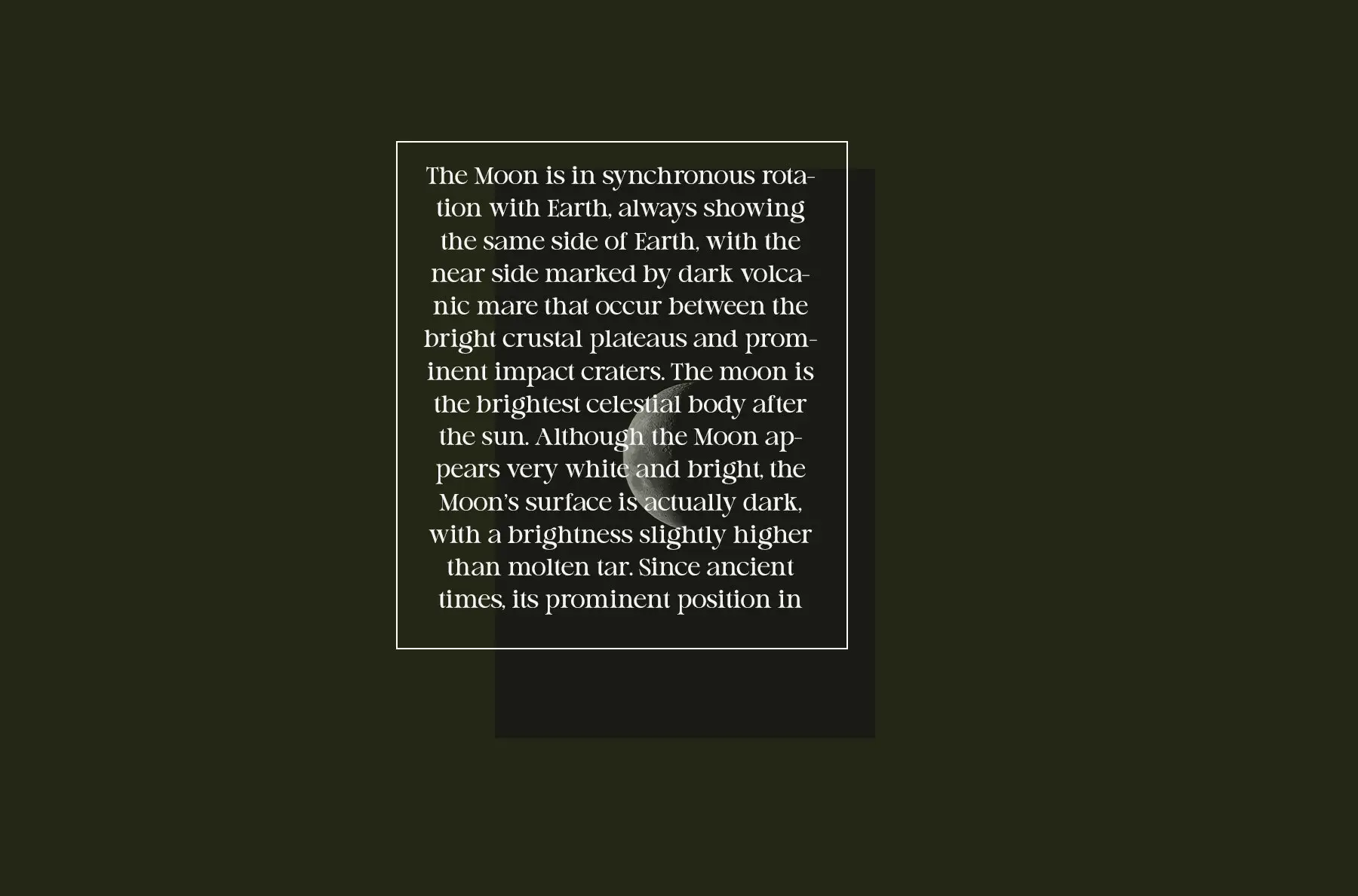 Lexend Font - YouWorkForThem