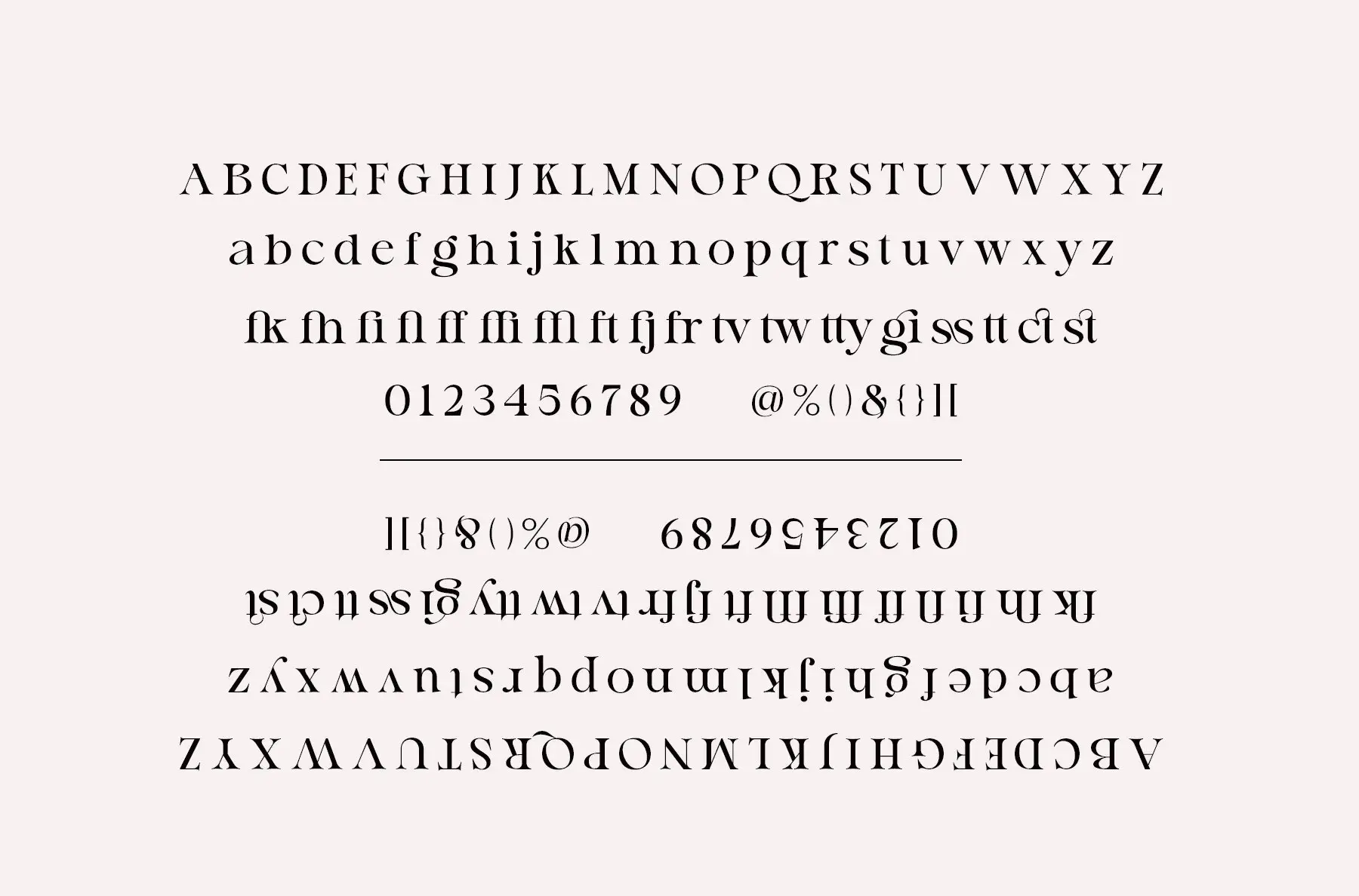 Lexend Font - YouWorkForThem