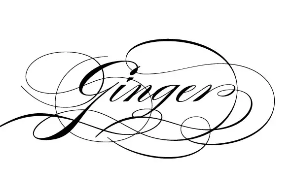 Burgues Script Font - YouWorkForThem