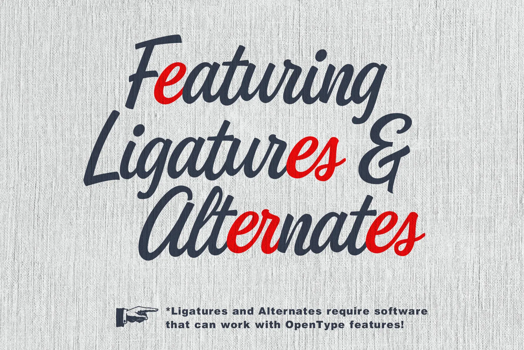 Burbank Script Font - FontPath