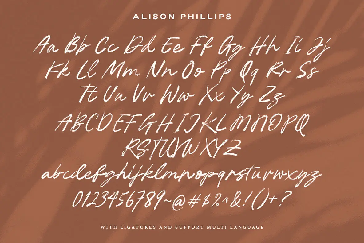 Alison Phillips Font - YouWorkForThem