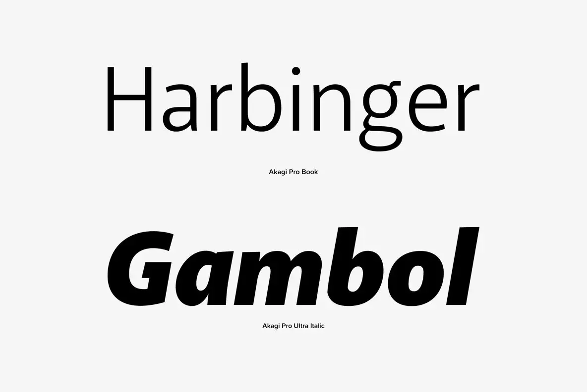 Akagi Pro Font Fontpath 